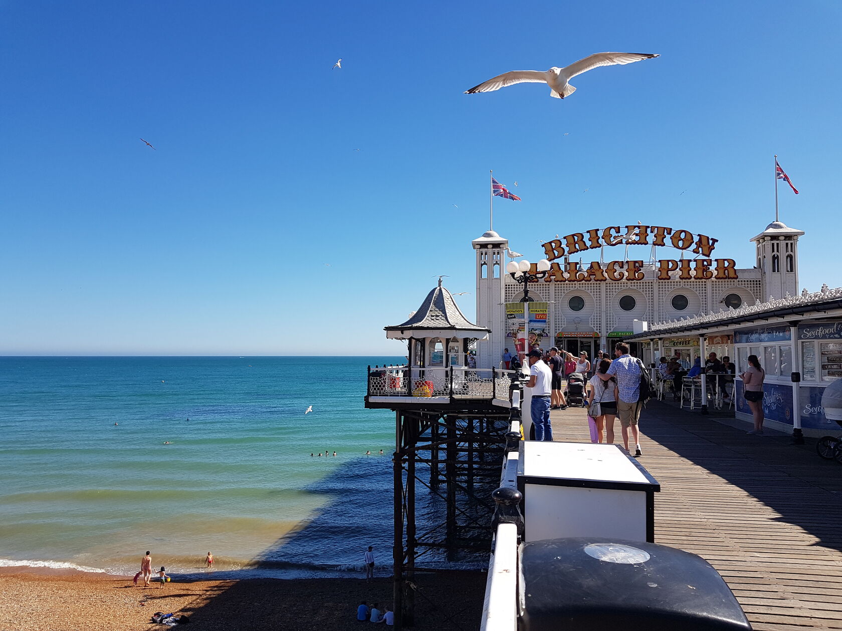 Plan Your Visit | Brighton Festival